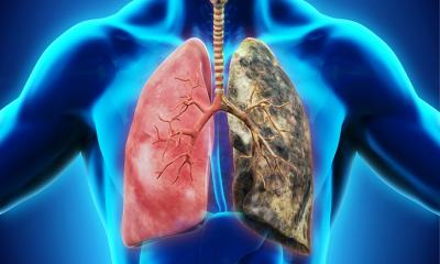 আপনার সন্তানের বন্ধু হতে চাইলে মেনে চলুন এই বিষয়গুলো